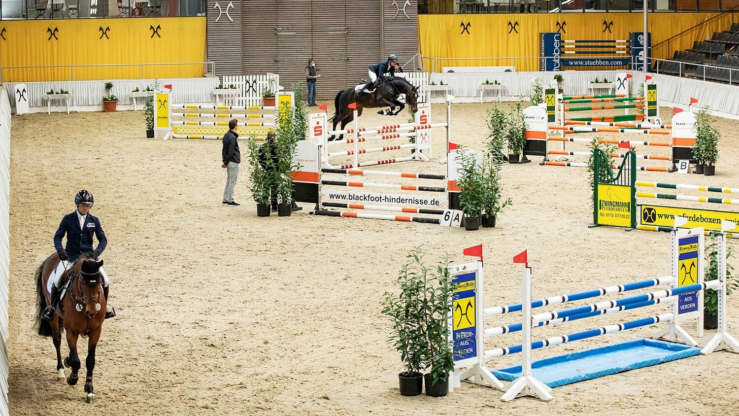 Breeding Programs: Hannoveraner Verband